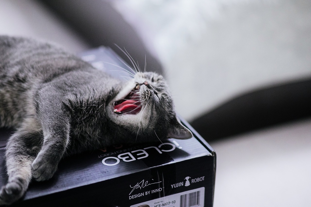 ¿Qué pasa si trabajo estando en ERE? | JOBATUS